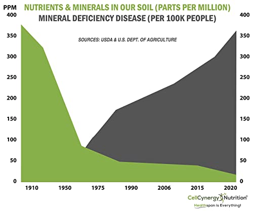 trace minerals for immune support