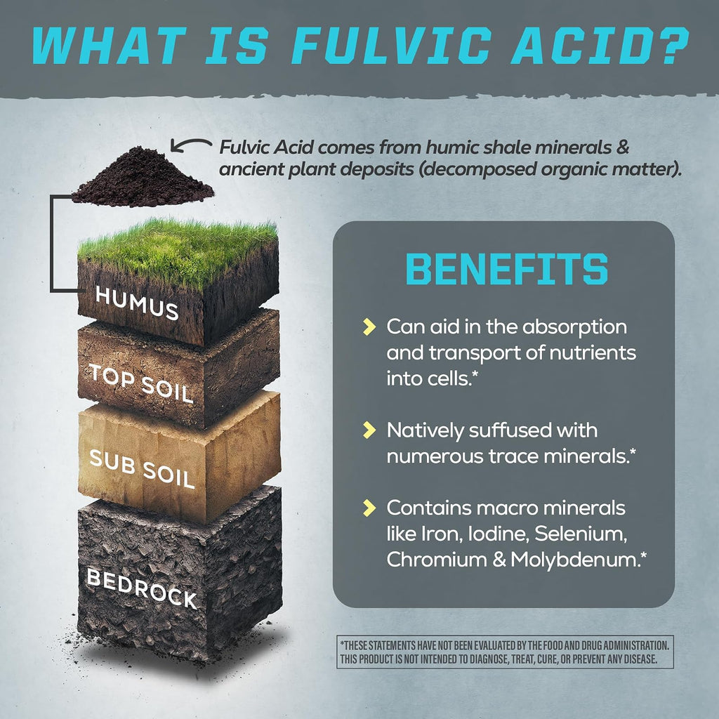 trace minerals for improved nutrient absorption