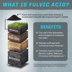 trace minerals for improved nutrient absorption