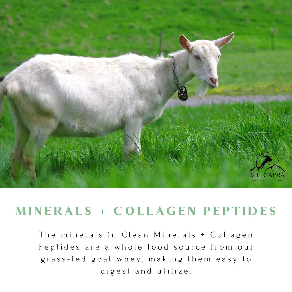 trace minerals for joint support