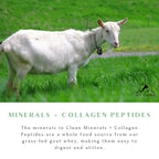 trace minerals for joint support