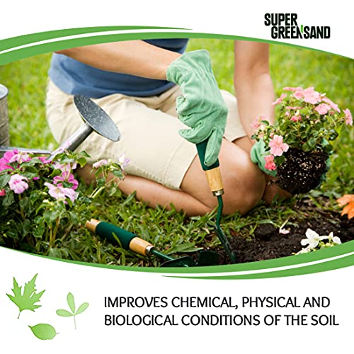 trace minerals for overall well-being