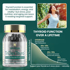 trace minerals for thyroid health