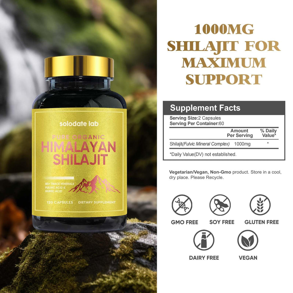 trace minerals in shilajit resin