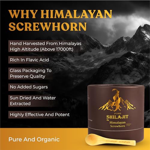 trace minerals in shilajit resin