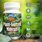 trace minerals promote healthy metabolism