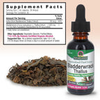 Trace minerals supplement for wellness