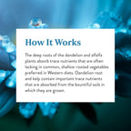 trace minerals support electrolyte balance