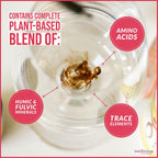 trace minerals support healthy digestion