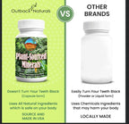 trace minerals support immune function