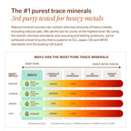 trace minerals to support immunity