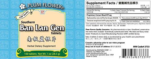 traditional ayurveda tablets for health