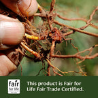 traditional Ayurvedic herbal formula