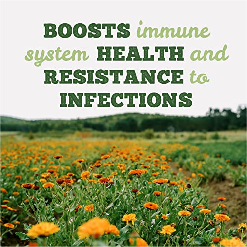 traditional chinese medicine astragalus