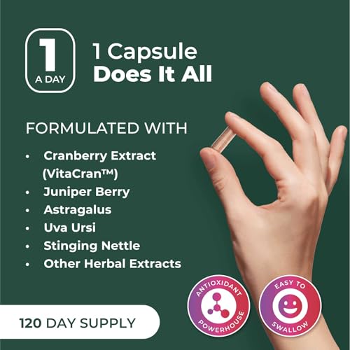 traditional Chinese medicine astragalus