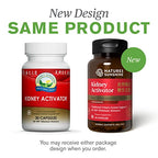 Traditional Chinese medicine kidney capsules