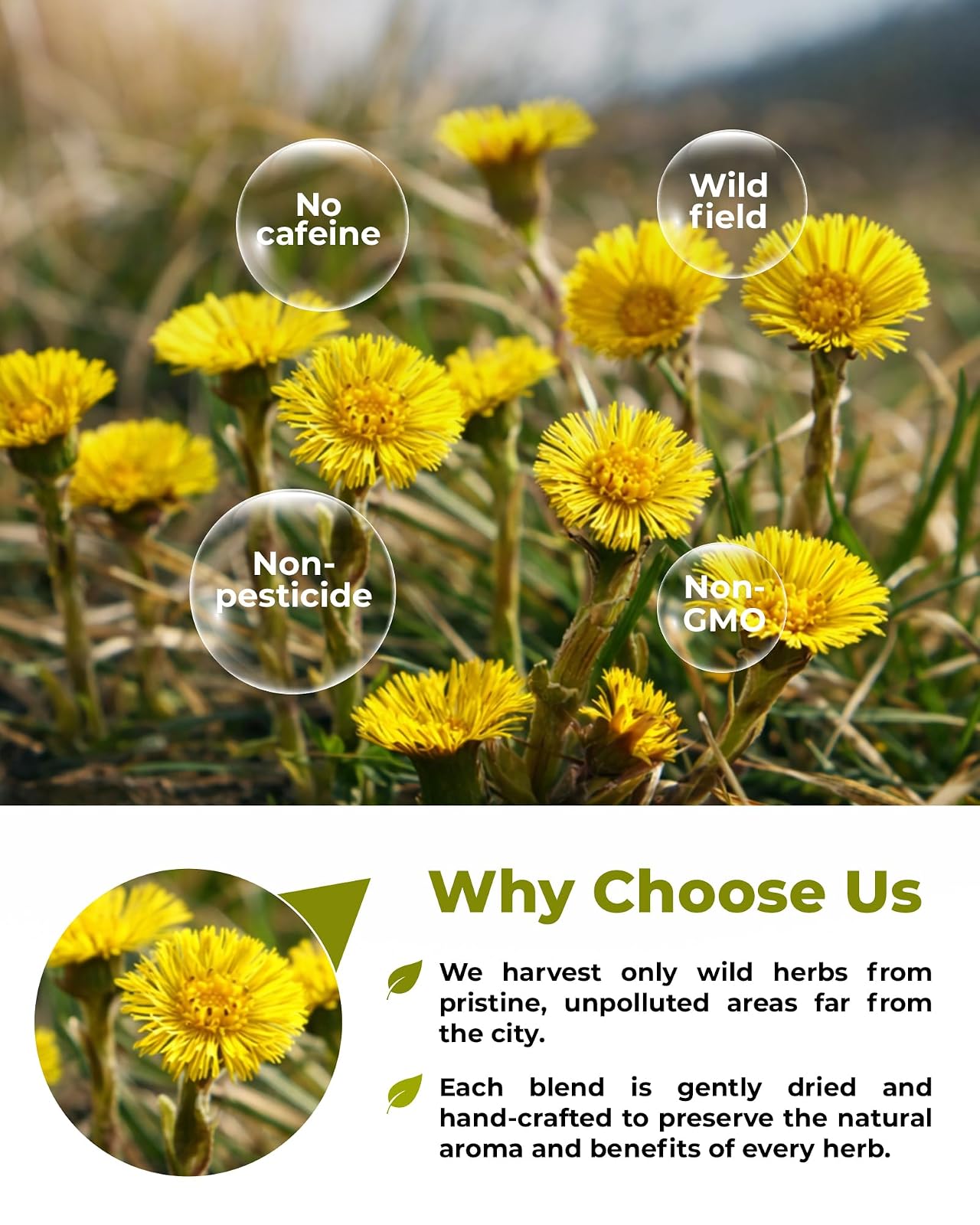 traditional coltsfoot herbal remedy