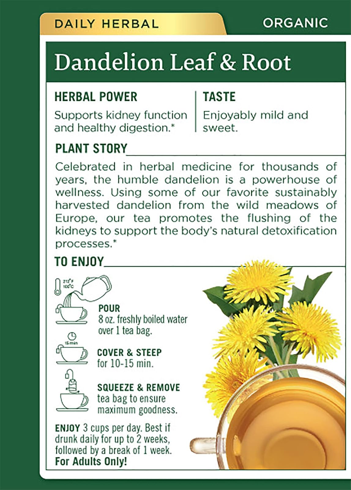 traditional dandelion leaf herbal tea