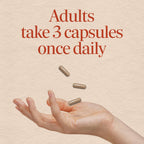 traditional dandelion remedy in capsules