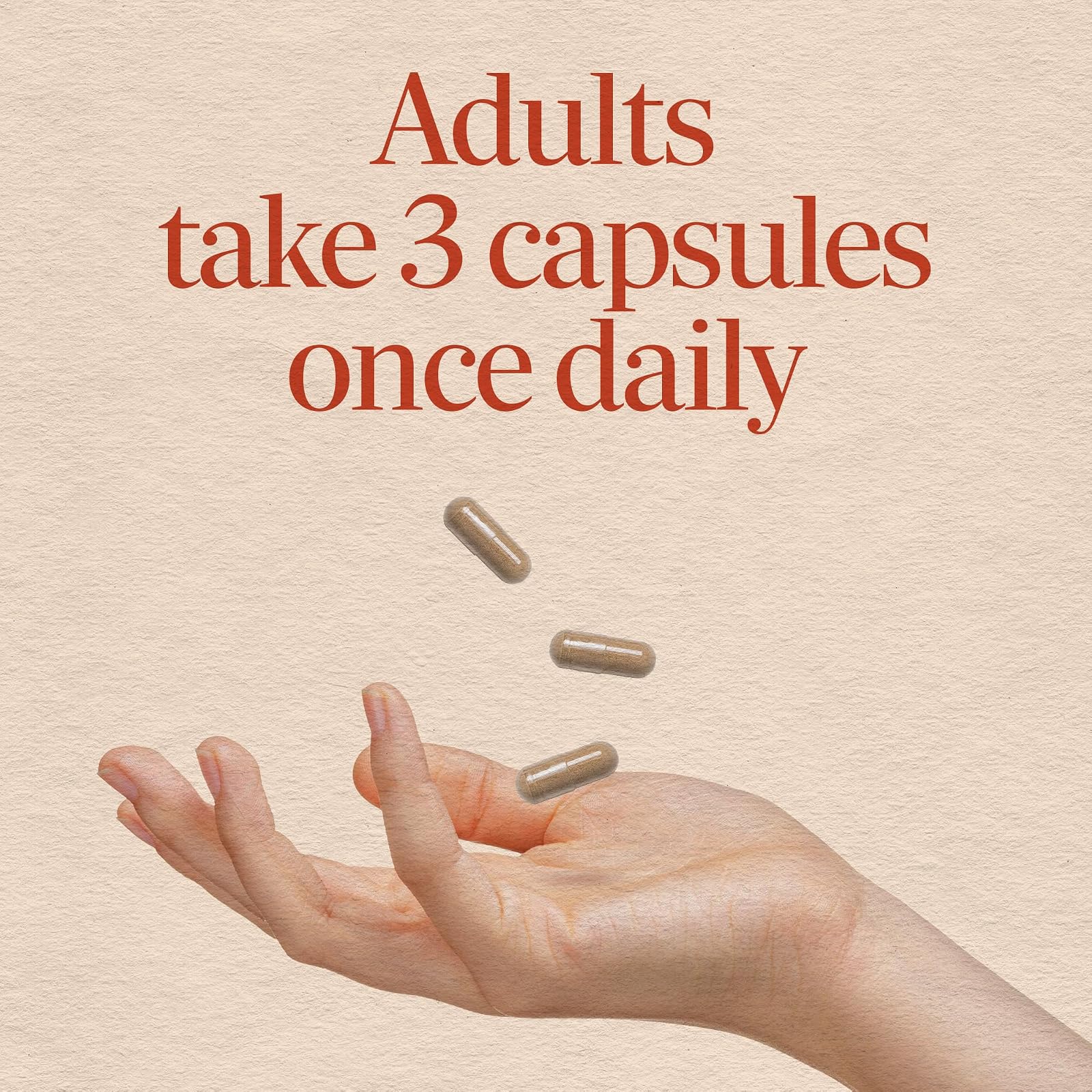 traditional dandelion remedy in capsules