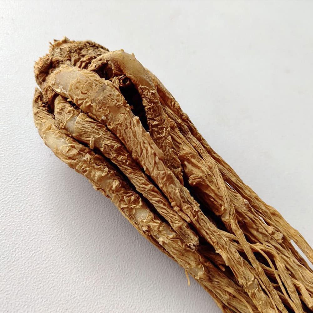 traditional dong quai herbal supplement