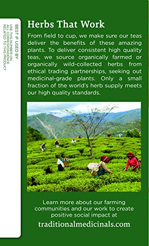 traditional ginger tea for digestion