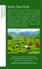traditional ginger tea for digestion