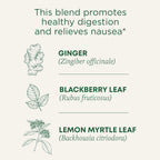 traditional ginger tea for digestion