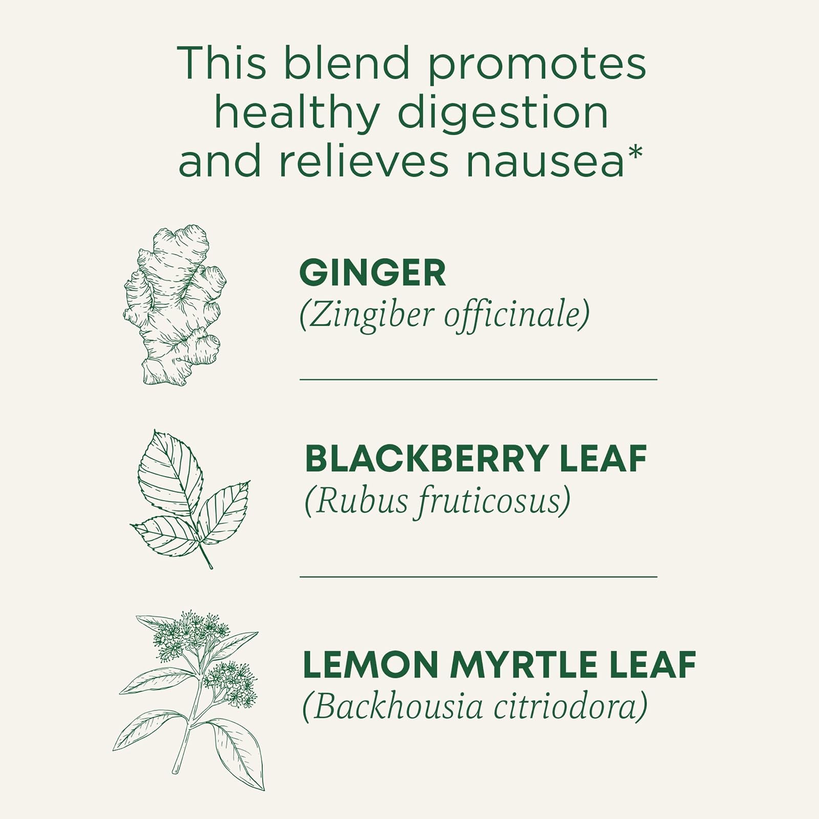 traditional ginger tea for digestion