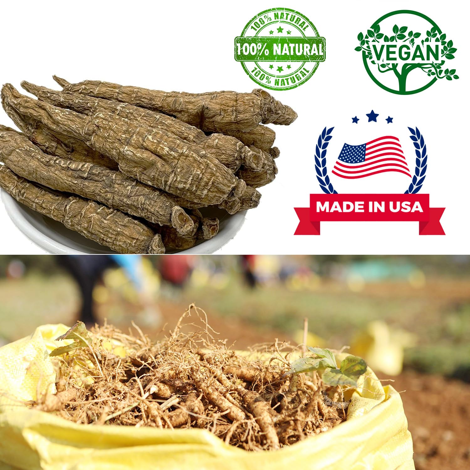 traditional ginseng for holistic health