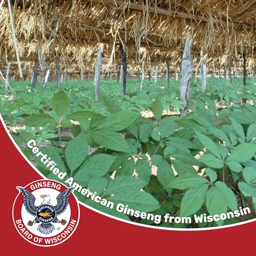 traditional ginseng for overall health