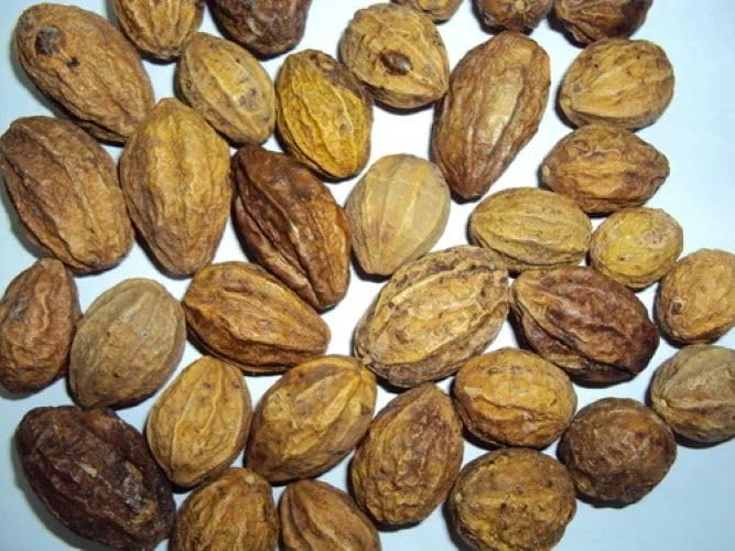 traditional haritaki for immune support