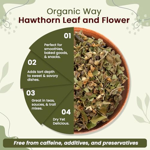 traditional hawthorn herbal tea experience