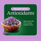 traditional herbal astragalus root benefits