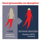 traditional herbal remedy ginseng extract