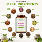 traditional herbal remedy Kanchnar Guggulu
