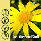 traditional herbal support for wellness