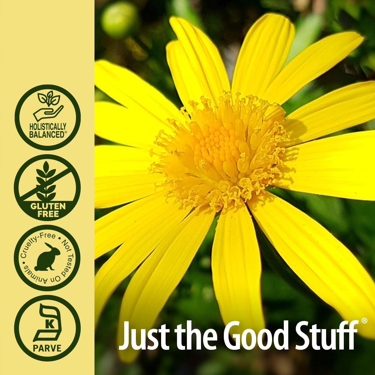 traditional herbal support for wellness