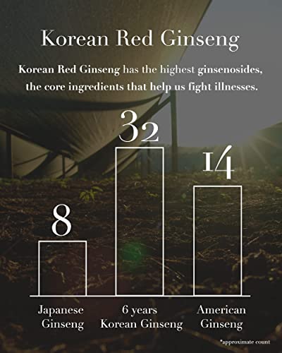 traditional Korean ginseng health benefits
