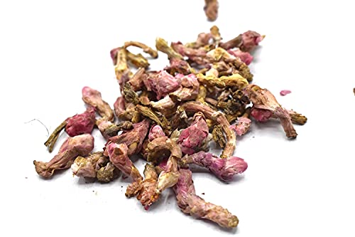 traditional Kuan Dong Hua herbal benefits