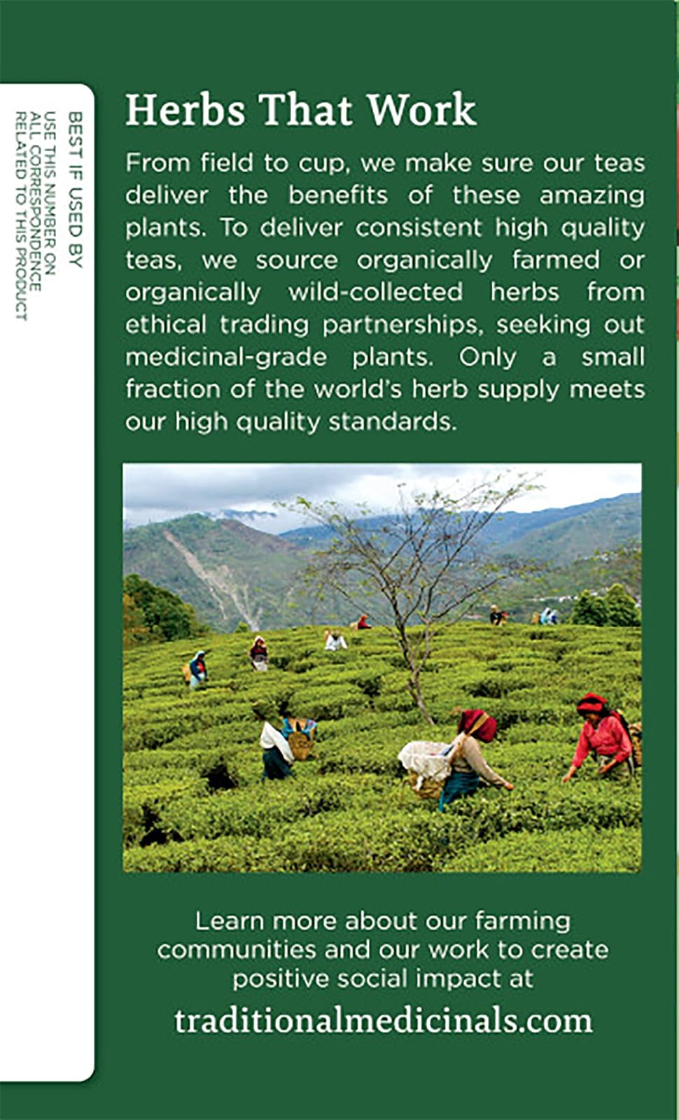 traditional medicinal hawthorn tea