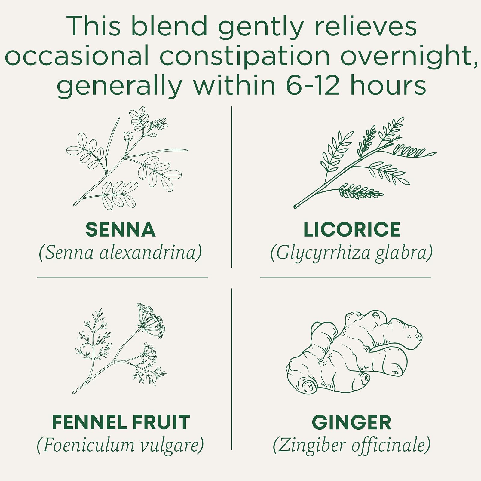 Traditional Medicinals chamomile tea infusion