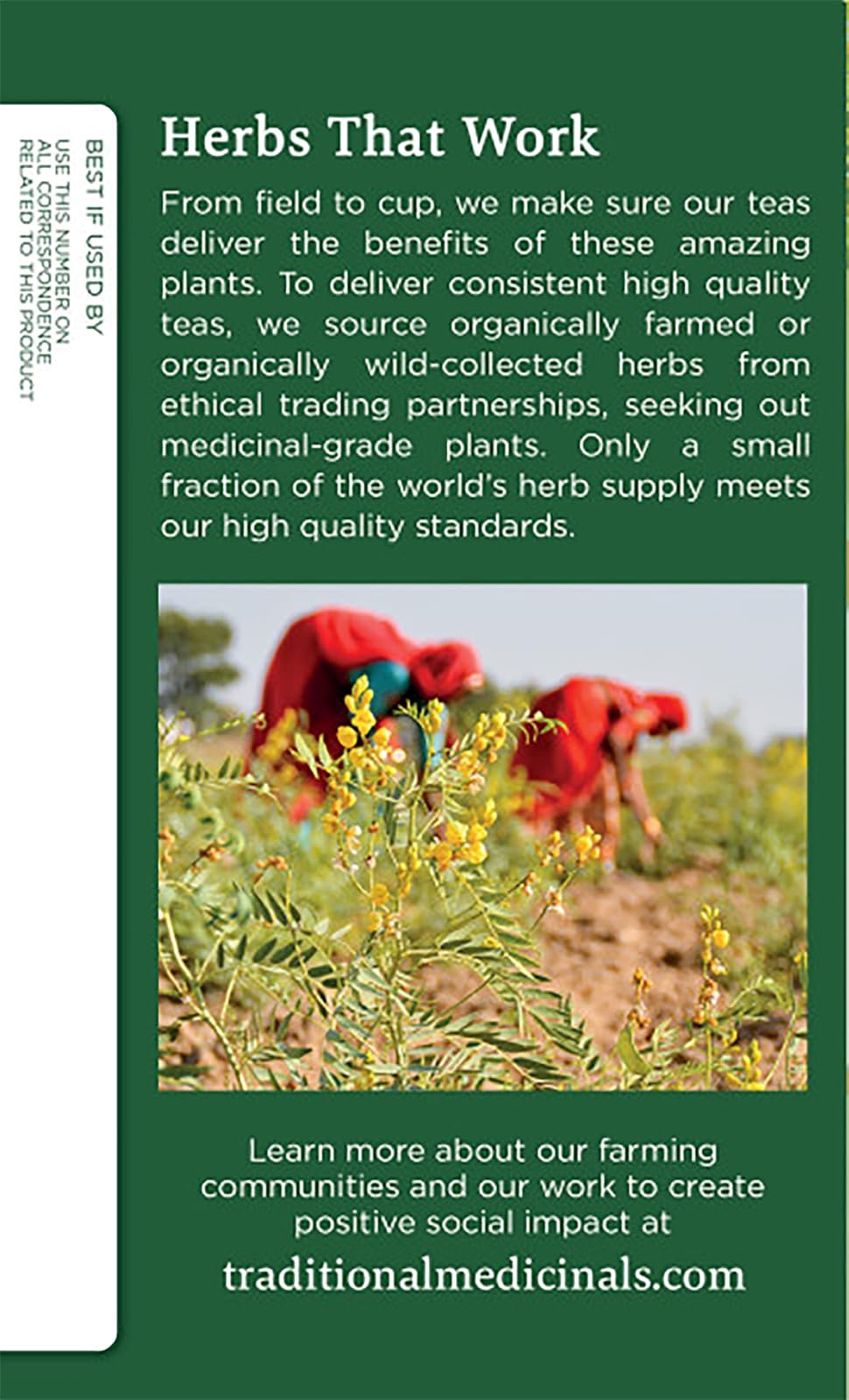 Traditional Medicinals fennel tea