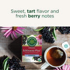 Traditional Medicinals herbal detox tea
