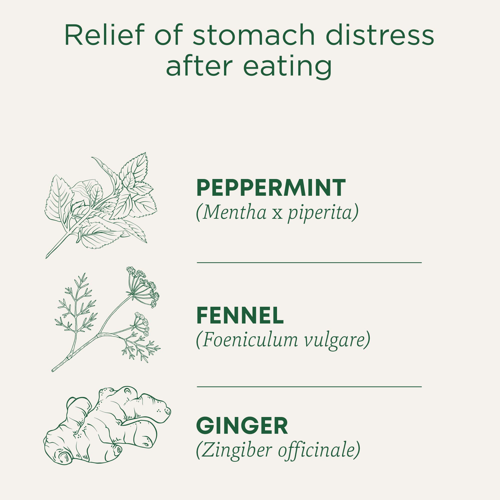 Traditional Medicinals herbal tea