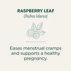 traditional medicinals raspberry leaf tea