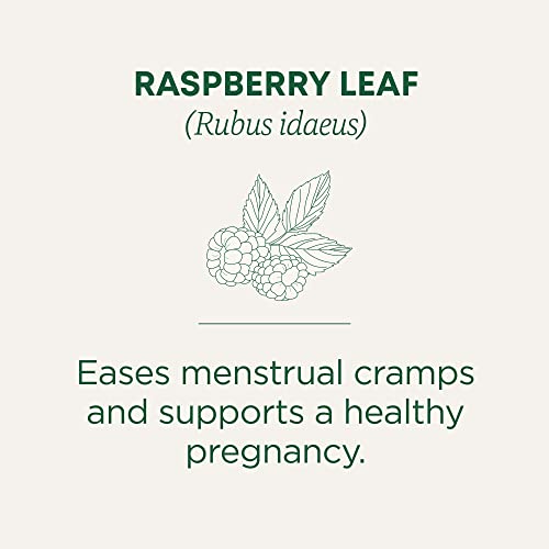 traditional medicinals raspberry leaf tea