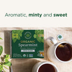 Traditional Medicinals spearmint infusion