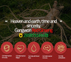 traditional panax ginseng beverage