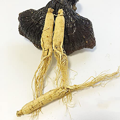 traditional remedy with wild ginseng